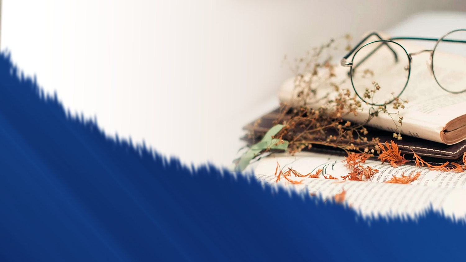 CODESRIA – Council for the Development of Social Science Research in Africa